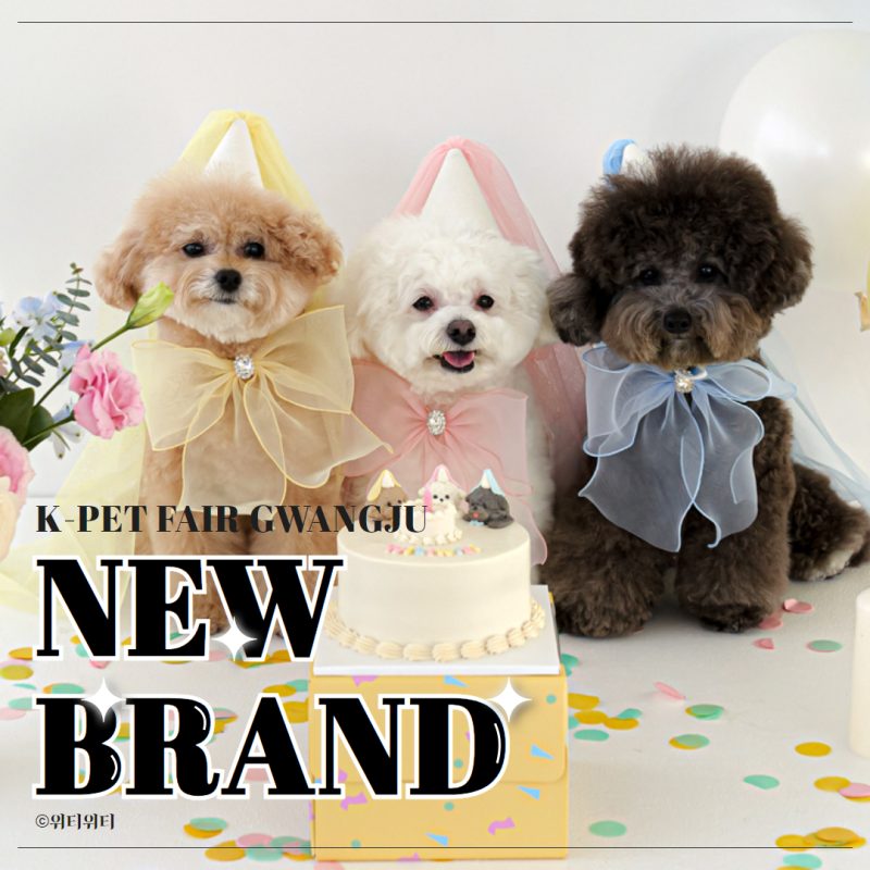 이벤트 - 2024 케이펫페어